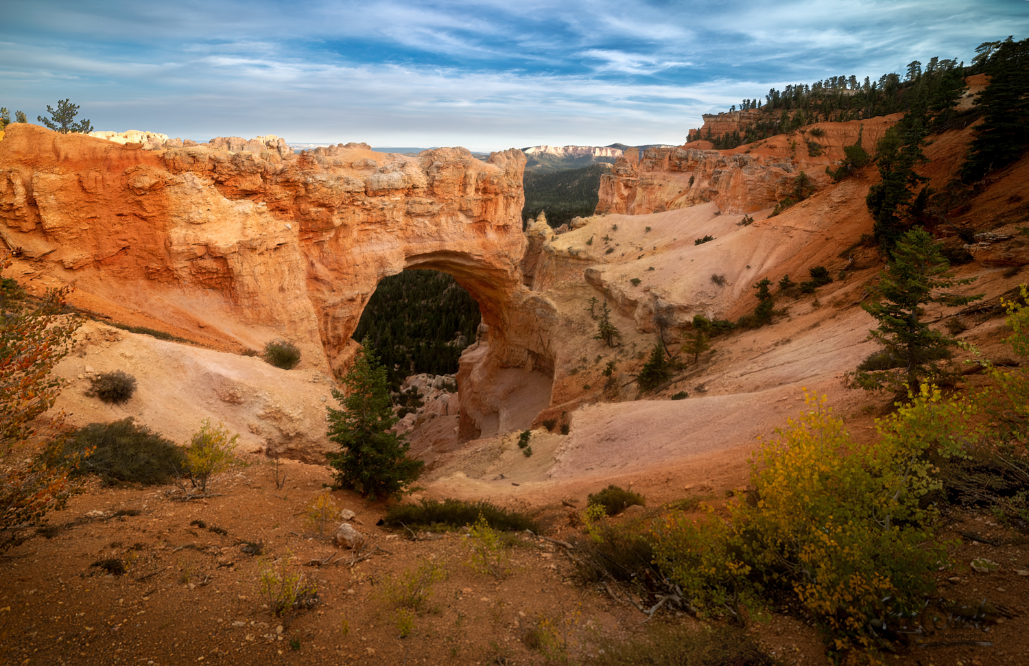 Natural Bridge Bryce Canyon – Rod Stark Photography